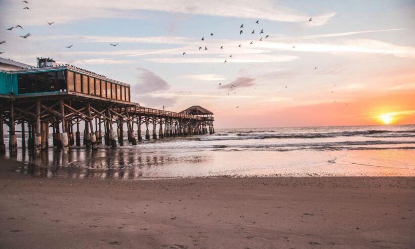 Cocoa Beach: Surfing Lessons & Board Rental - Who Would Love This Experience?