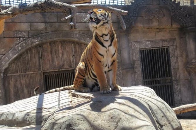 Cocodrilo Park Zoo Admission Ticket in Agüimes - Final Thoughts