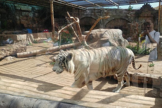 Cocodrilo Park Zoo Admission Ticket Review - Accessibility and Visitor Information