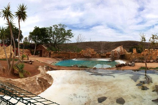 Cocodrilo Park Zoo Admission Ticket Review - Parks Focus on Animal Rescue