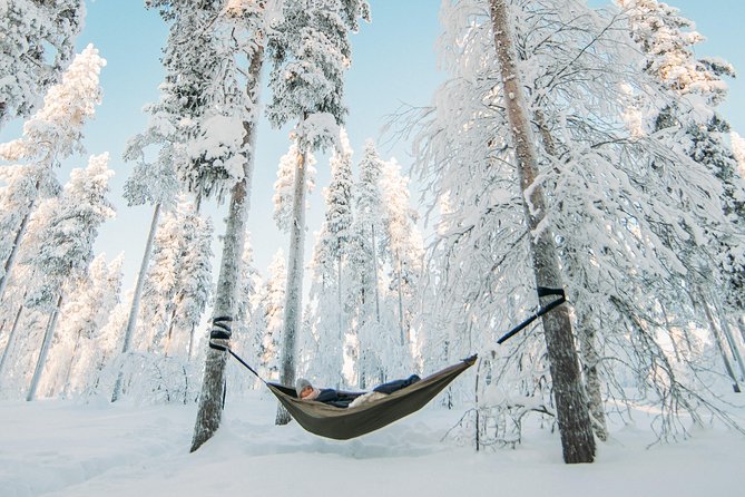 Cocooning in the HaliPuu forest: The ultimate Arctic hammock relaxation - Authentic Benefits of Forest Relaxation in Lapland