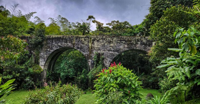 Cocora: trek to the hummingbirds sanctuary - Key Points