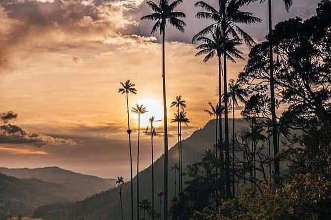 Cocora Valley and Salento Hike Tour - Booking Your Cocora Valley and Salento Hike Tour