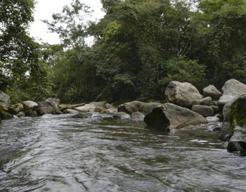 Cocora Valley: Salento & Private Horseback Riding Tour - Key Points