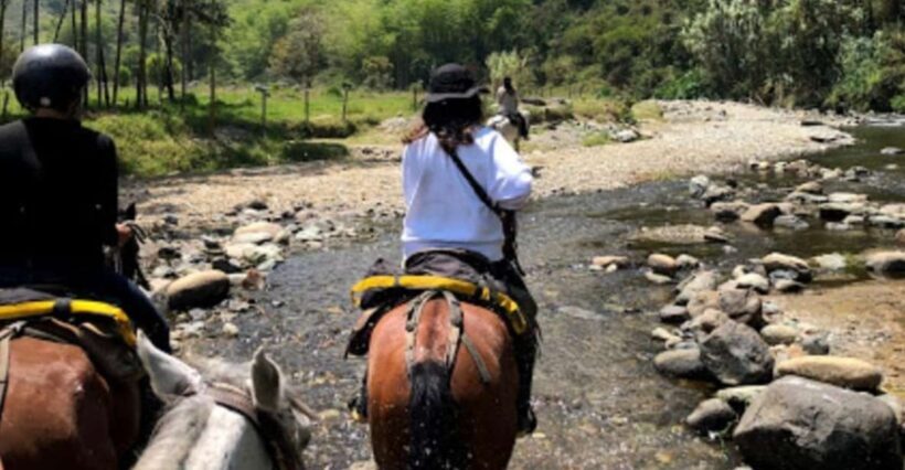 Cocora Valley: Salento & Private Horseback Riding Tour - A Detailed Look at the Tour Experience