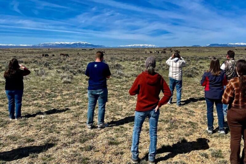 Cody: Red Canyon Wild Mustang Tour - Value and Considerations