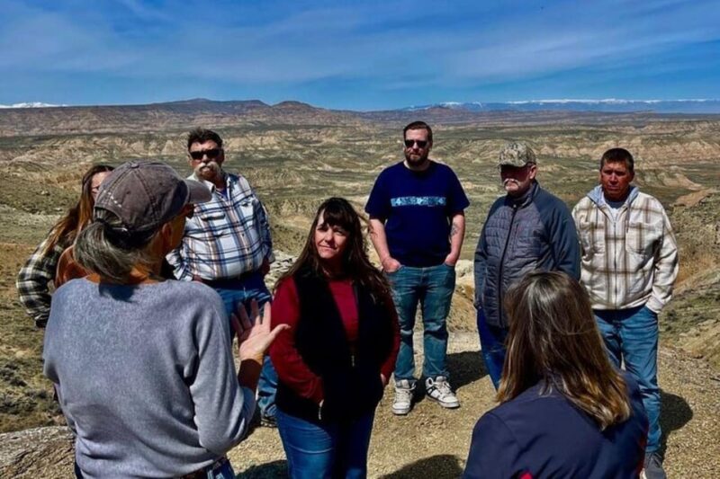 Cody: Red Canyon Wild Mustang Van or Bus Tour - Comfort and Practicalities
