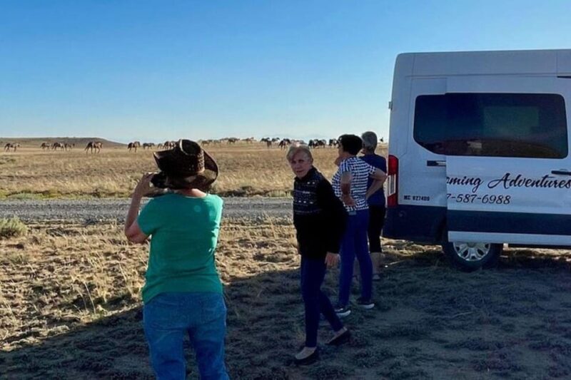 Cody: Wild Mustang Small Group Eco Tour - Authenticity and Audience Fit