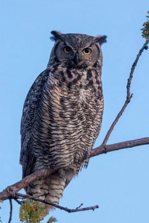 Cody: Yellowstone the Volcano All-Inclusive Lower Loop Tour - Who Will Love This Tour?