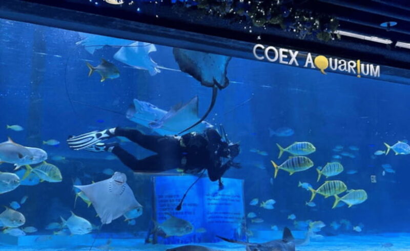 Coex Aquarium Entry Ticket - FAQs