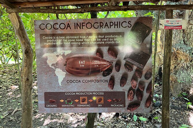 Coffee and Chocolate Plantation Tour - Is This Tour Worth It?
