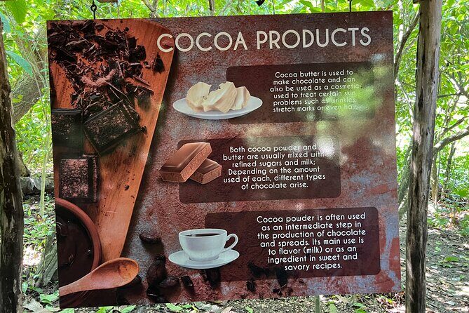 Coffee and Chocolate Plantation Tour - FAQs