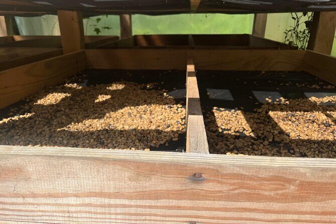 Coffee and Mountains with Personal Coffee Experience - The Sum Up