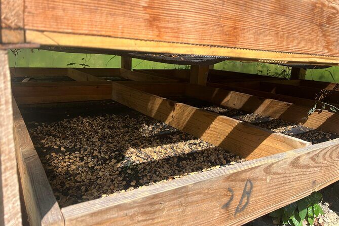 Coffee and Mountains with Personal Coffee Experience - FAQ