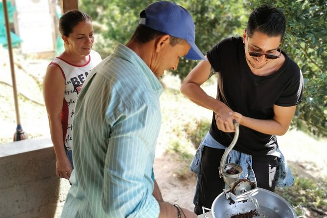 Coffee & Chocolate Private Tour in Medellin: Genuine Experience - Indulging in a Homemade Lunch