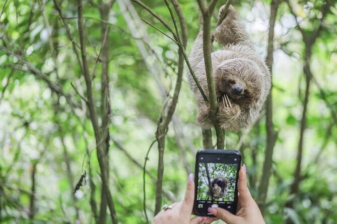 Coffee & Chocolate Tour+Sloths Park & Llanos de Cortez Waterfall - Introduction