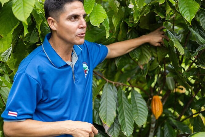 Coffee & Chocolate Tour+Sloths Park & Llanos de Cortez Waterfall - A Well-Rounded Day Exploring Costa Rica’s Natural and Cultural Gems