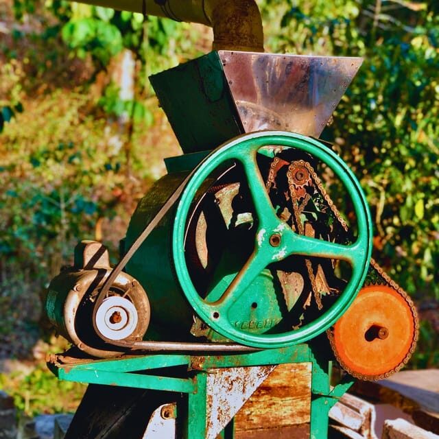 Coffee, Cocoa and Trekking Tour in Minca: Nature, Crops and Production - FAQ