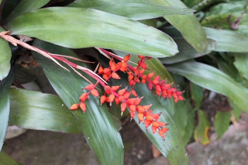 Coffee Experience: Hacienda Coloma Tour from Bogotá - What the Reviews Say