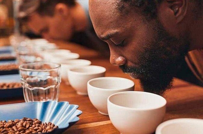 Coffee Experience in Dominican Republic with Local Tastings - Who Will Love This Tour?