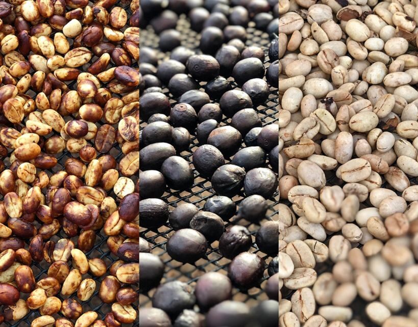 Coffee Farm and Salento Walking Tour - Key Points