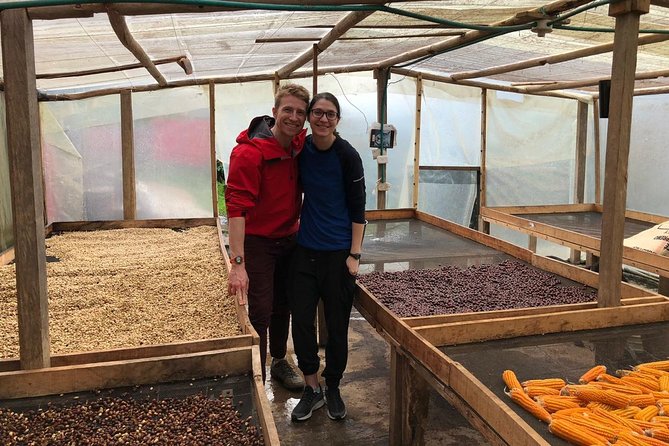 Coffee Farm and Salento Walking Tour - Pricing and Booking