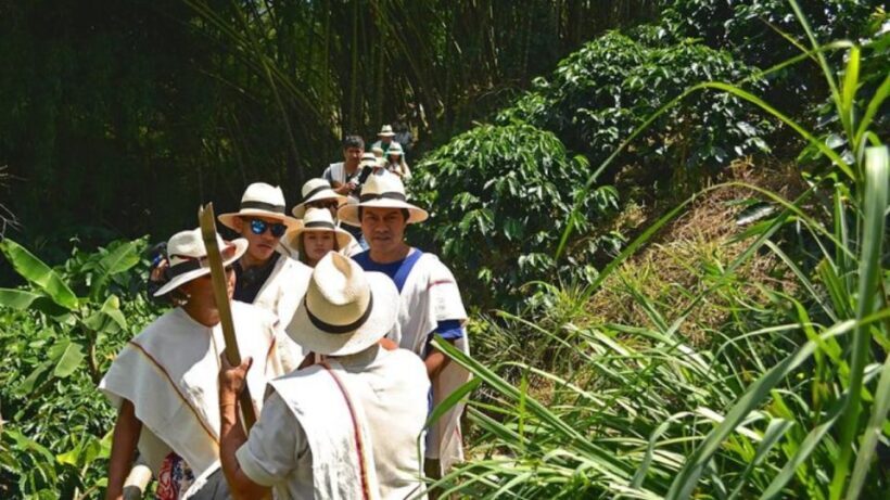 Coffee Farm and Santa Rosa Hot Springs from Pereira/Armenia - An Overview of the Tour Experience