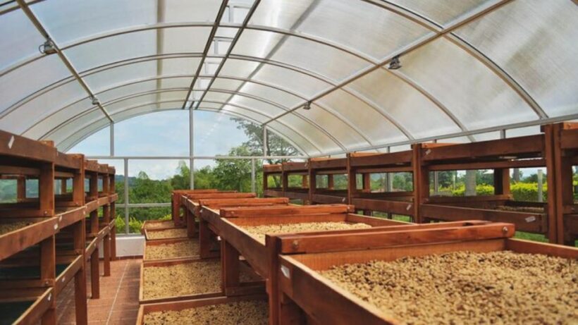 Coffee Farm and Santa Rosa Hot Springs from Pereira/Armenia - The Practical Details