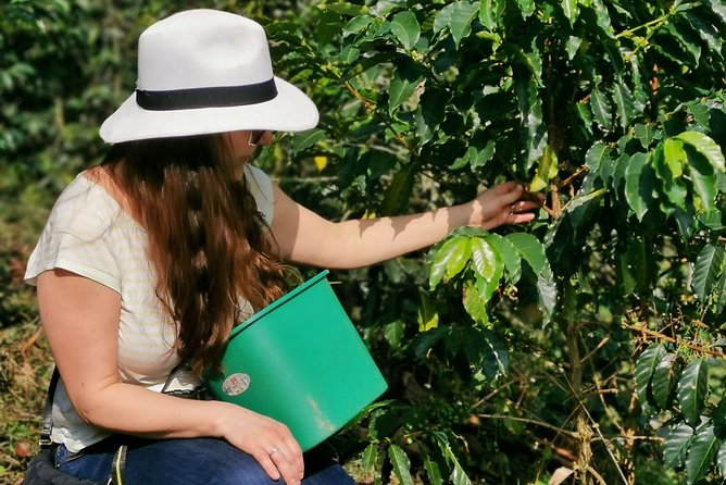 Coffee Farm & ATVs Private Tour in Medellin: Stunning Views & Fun - Key Points