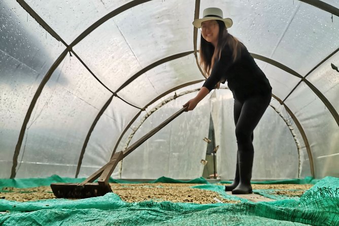 Coffee Farm & ATVs Private Tour in Medellin: Stunning Views & Fun - The ATV Adventure