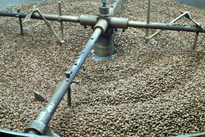 Coffee Farm Experience Private Day Tour - Tour Experience and Guides