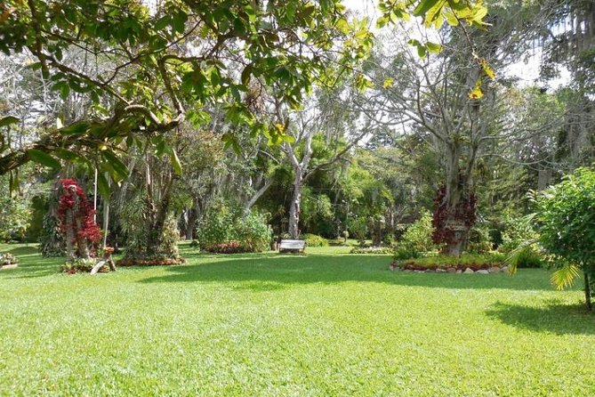 Coffee Farm Experience Private Day Tour - Guest Reviews and Feedback