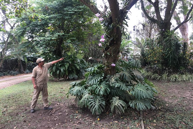 Coffee Farm Experience Private Day Tour - Coffee Production: From Farm to Cup
