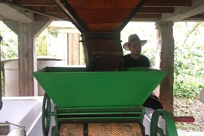 Coffee Farm Experience Private Day Tour - Exploring Hacienda Coloma