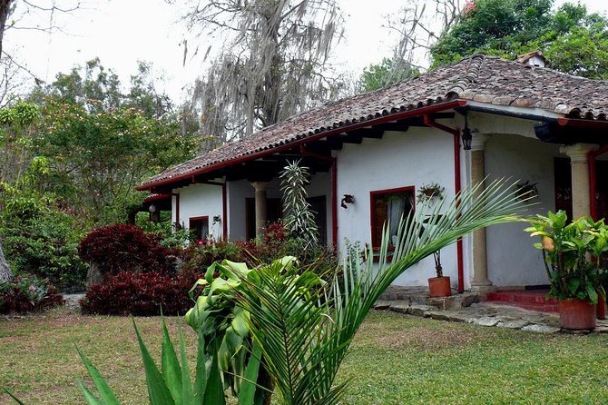 Coffee Farm Experience Private Day Tour - Savoring the Colombian Coffee Culture