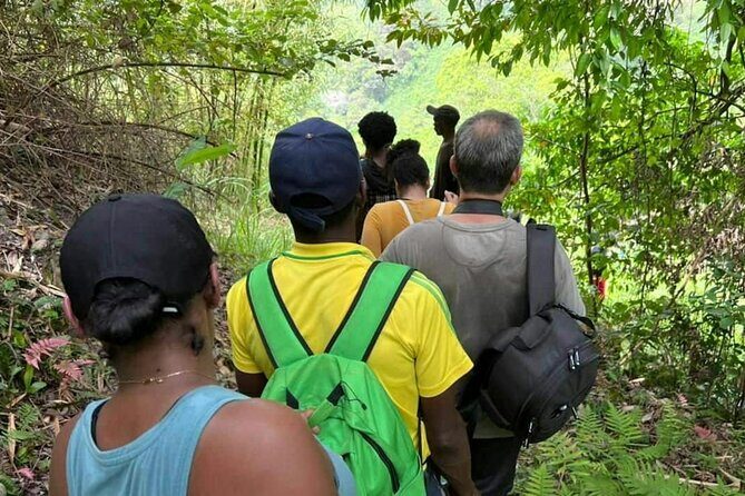 Coffee Farm Hike Through Jamaica Blue Mountains from Ocho Rios - Who Would Love This Tour
