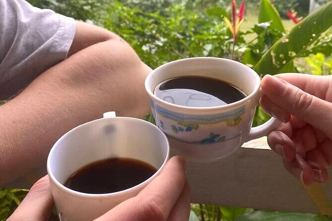 Coffee Farm Tour from Port Antonio - A Practical Look at the Coffee Farm Tour from Port Antonio