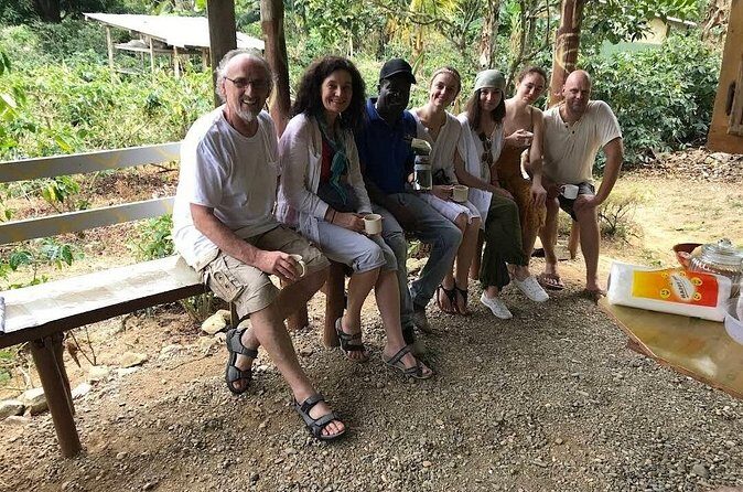 Coffee Farm Tour from Port Antonio - What Travelers Are Saying