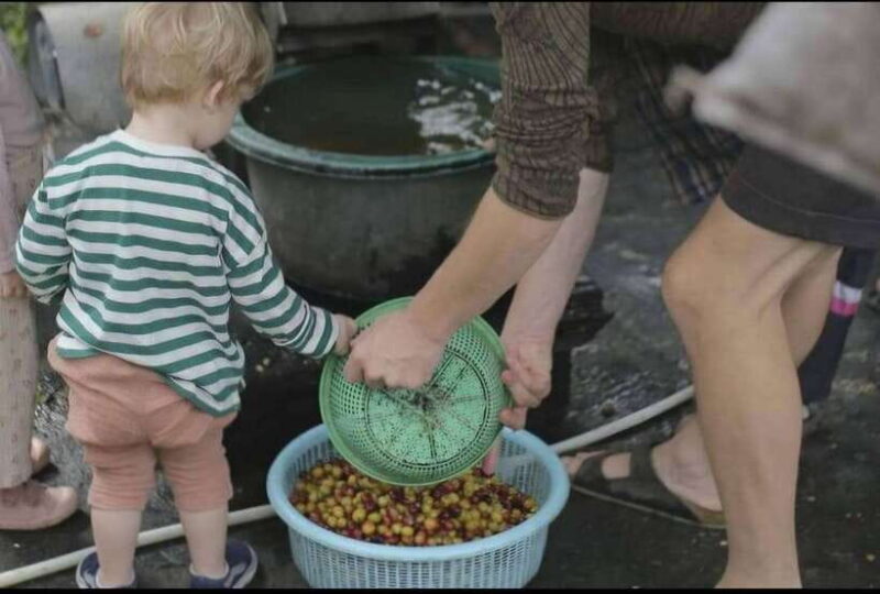 Coffee farm tour that give experience of coffee. - Additional Inclusions and Practical Details