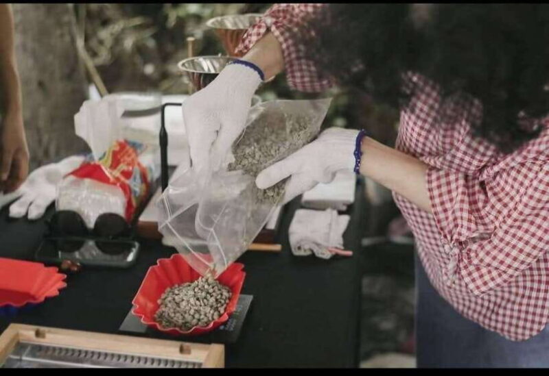 Coffee farm tour that give experience of coffee. - What Travelers Say