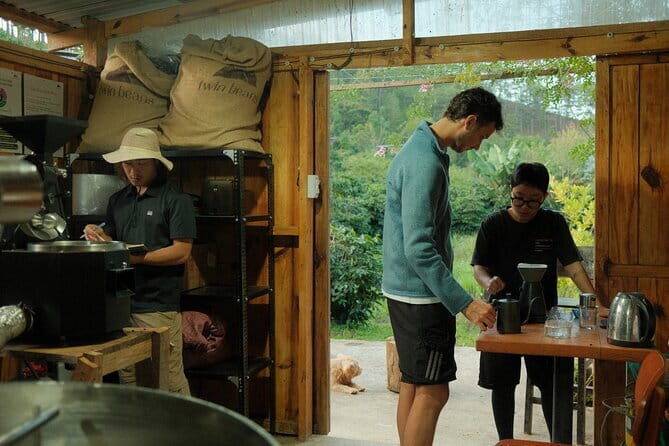 Coffee Farm Tour with Tasting and Workshop at Da Lat - Key Points