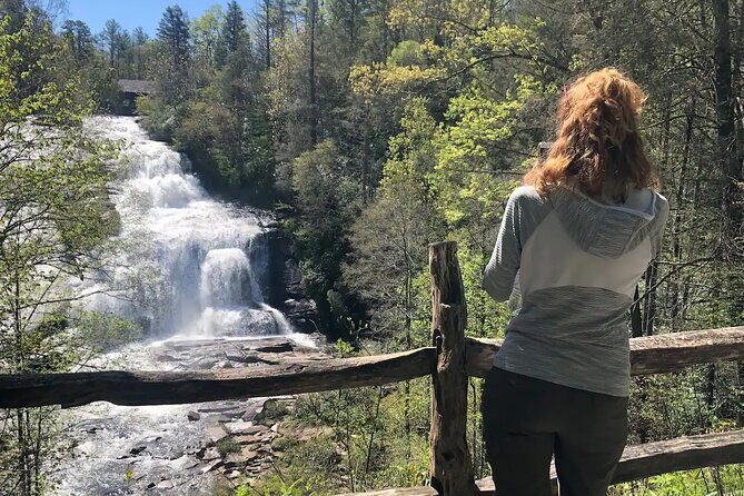 Coffee Hike to Three Waterfalls in DuPont State Forest - What Reviewers Say