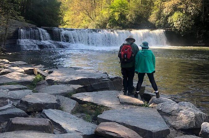 Coffee Hike to Three Waterfalls in DuPont State Forest - Who Should Book This Tour?