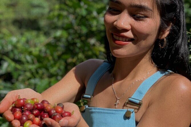 Coffee Lovers Farm and Roasting Tour - Is It Worth the Price?