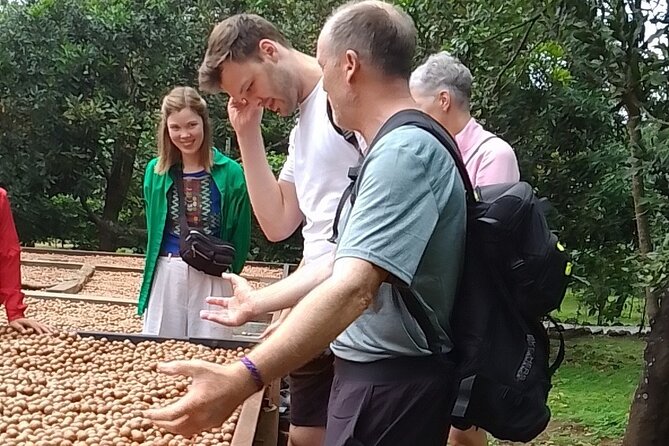 Coffee & Macadamia Fincas Tour - Mayan Music Experience