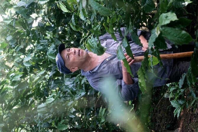 Coffee Museum and Coffee Tour el Cafe-tal apan - Authentic Experiences as Highlighted by Reviews