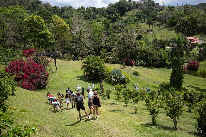 Coffee Plantation and River with Waterfalls in Puerto Rico - What to Expect from the Tour: A Detailed Breakdown
