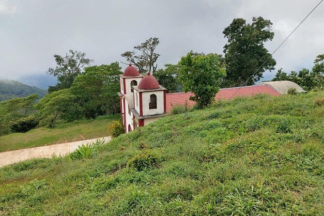 Coffee Plantation Experience - Final Thoughts