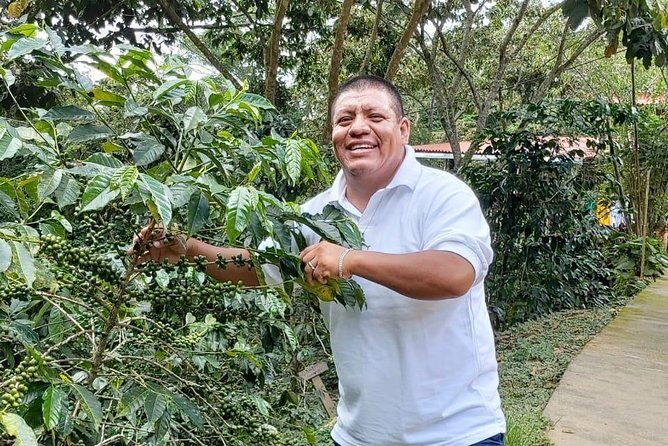 Coffee Plantation Experience - FAQ