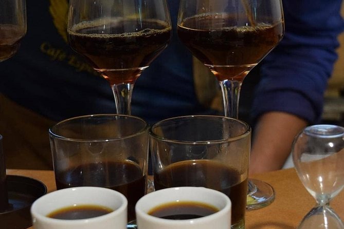 Coffee Tasting Experience at Divino Café Especial - Extraction Methods and Coffee Varieties
